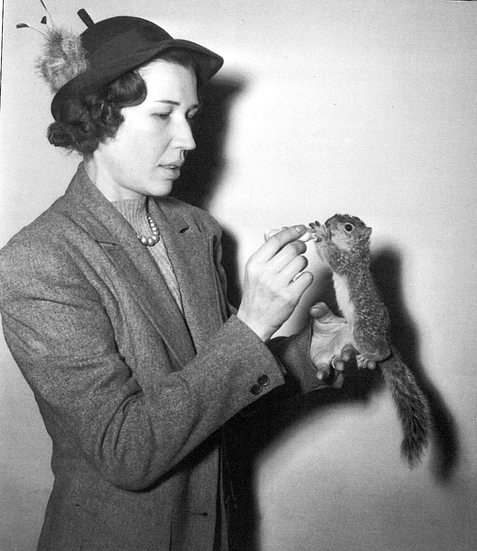 On the trail of Virginia Moe - Forest Park Review