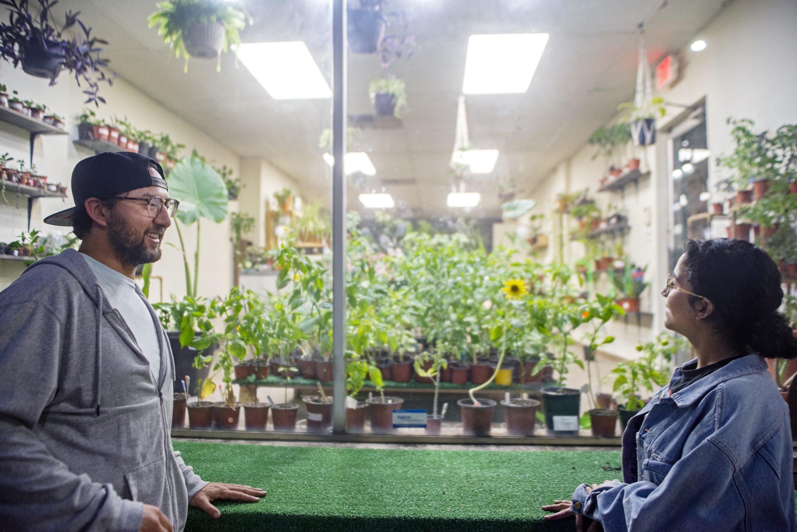 Radical Botanical offers care for sick plants, classes for kids ...