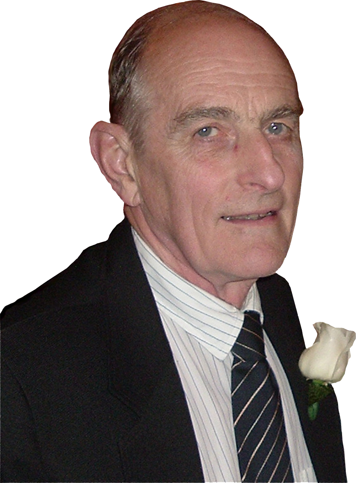 Ray Paulin, 89 - Forest Park Review