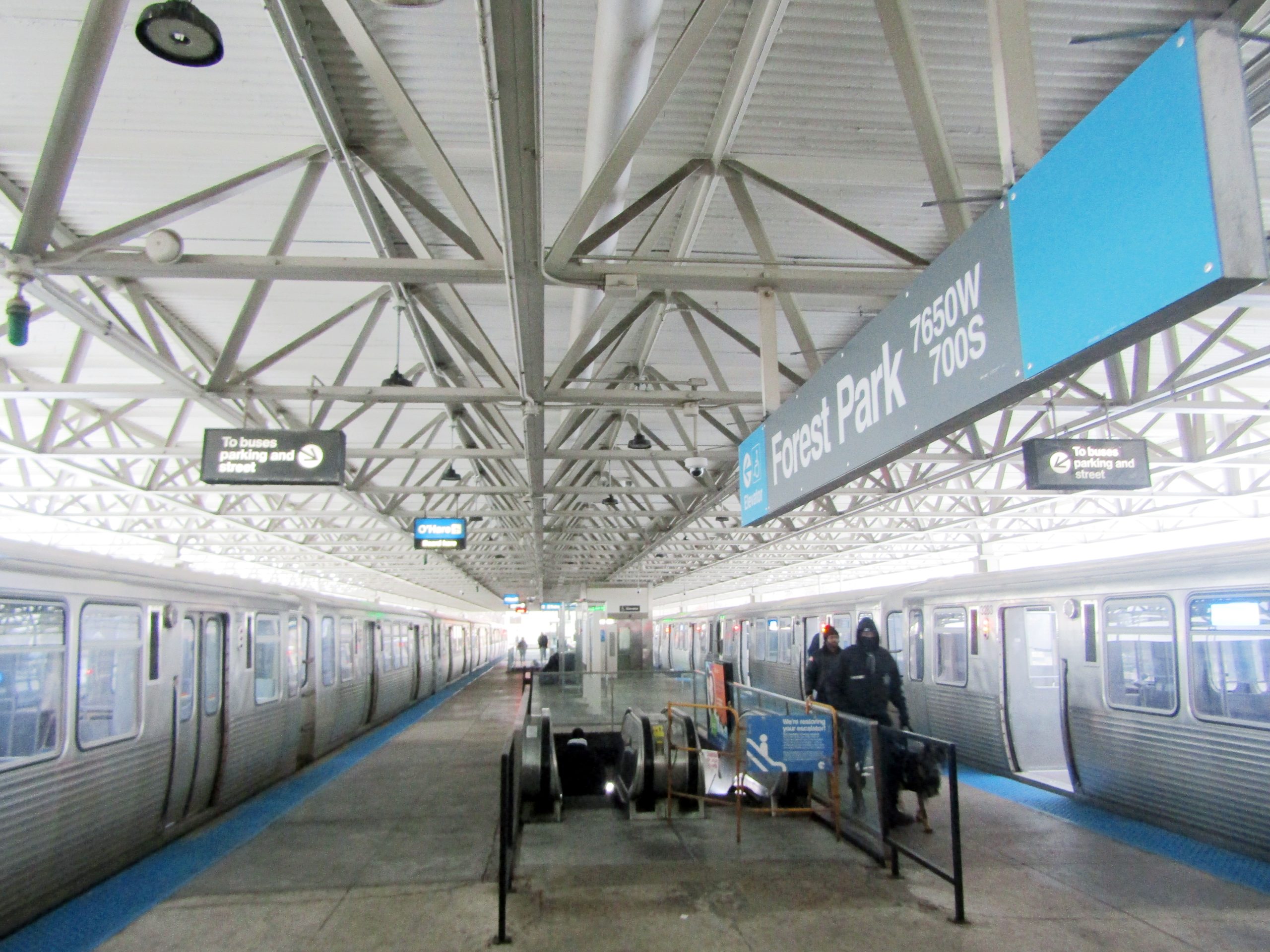 What not to miss in Forest Park - Forest Park Review