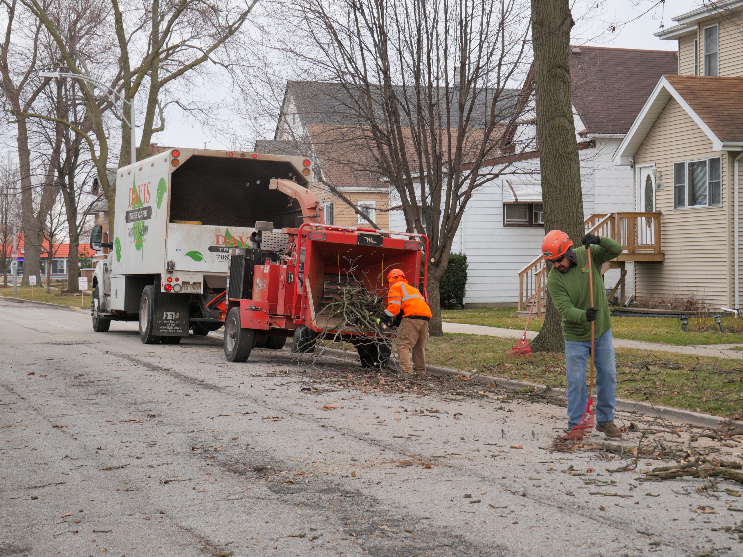 The village’s first tree trimming program is underway - Forest Park Review