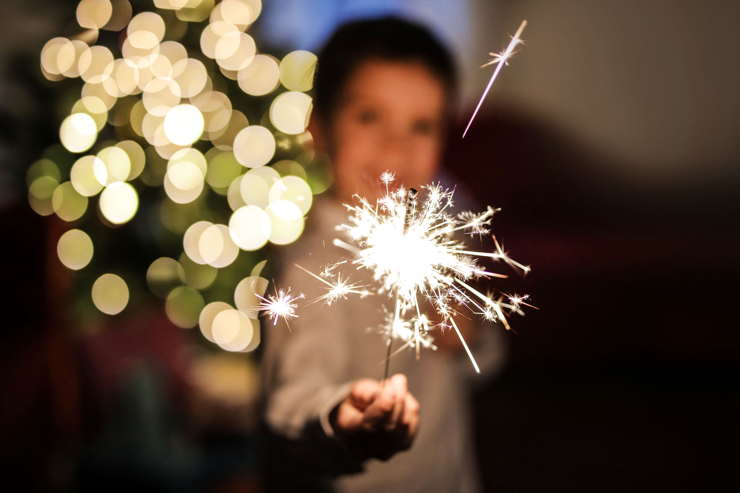 How to observe the 4th of July safely - Forest Park Review