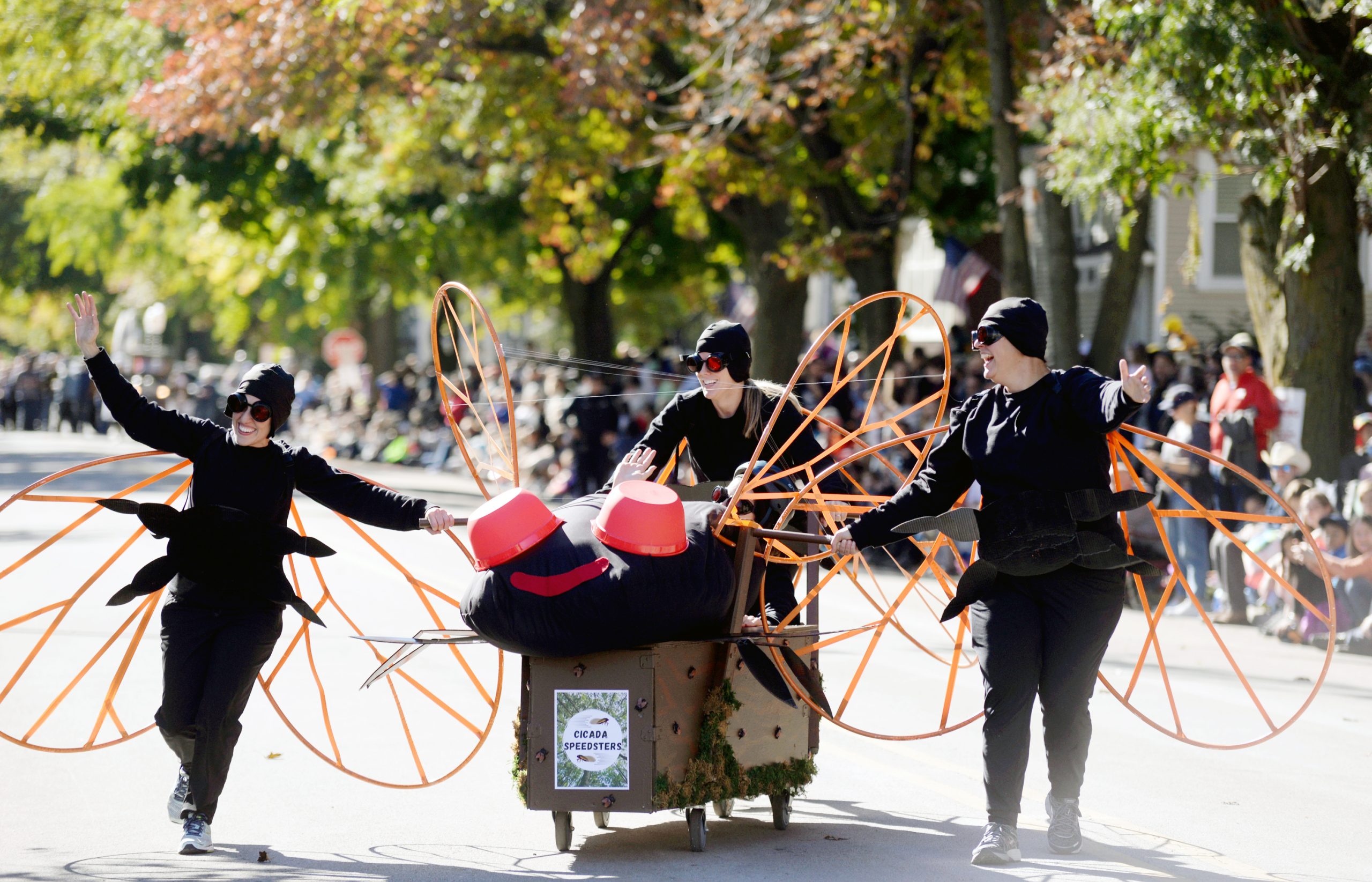 Casket Races 2024 - Forest Park Review