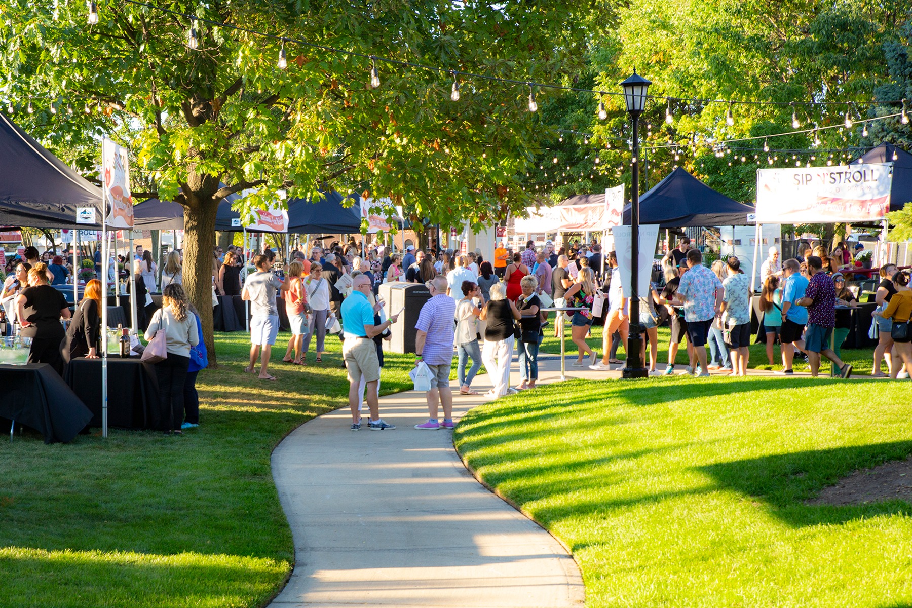 Sample 10 vineyards varieties - Forest Park Review