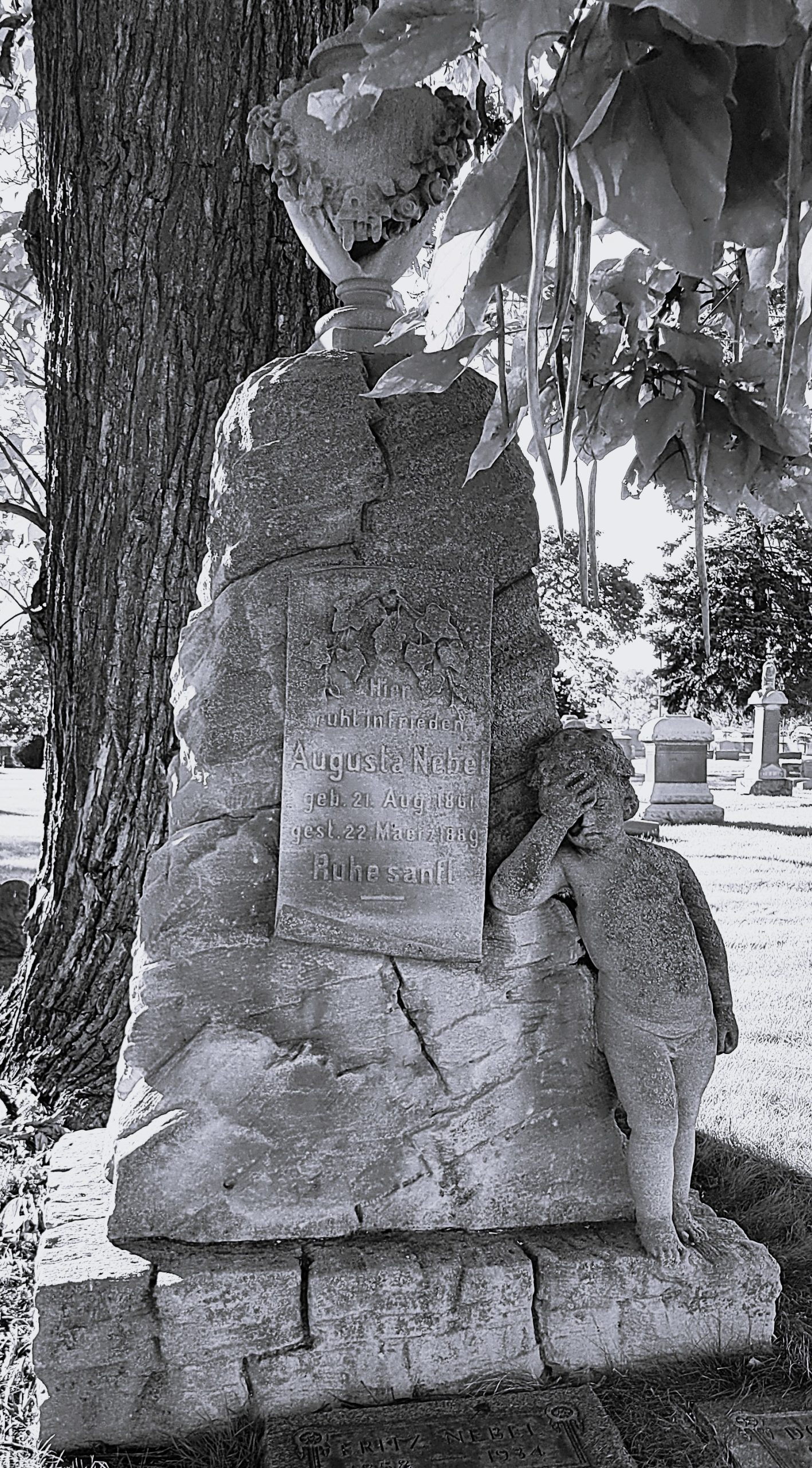 Our Quietest Neighbors: The Nebel family’s short, hard lives and the ...